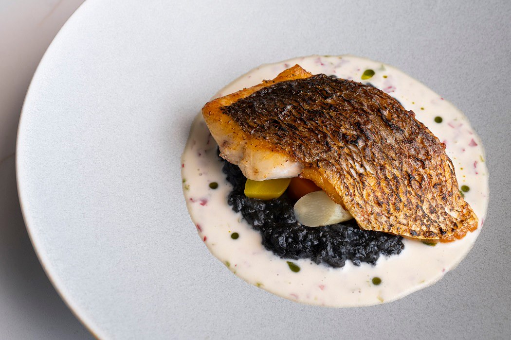 【公式】SUBSTANCE（サブスタンス）｜オールデイダイニングレストラン｜コートヤード・バイ・マリオット福井